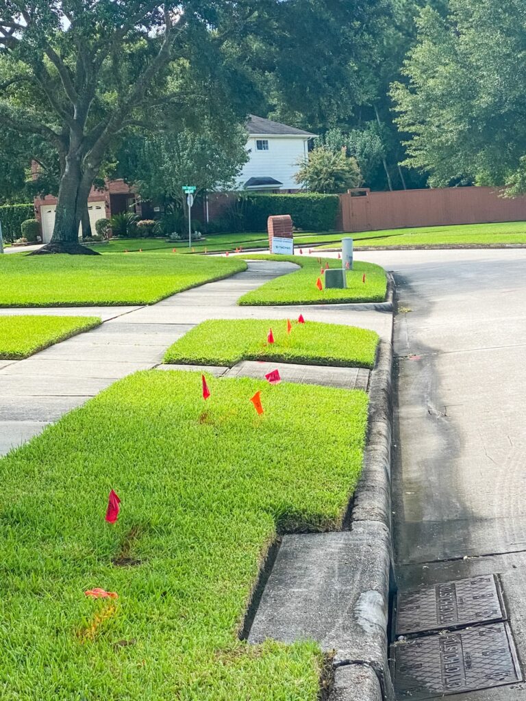 When you start seeing utility marking flags in one of your best kept ...