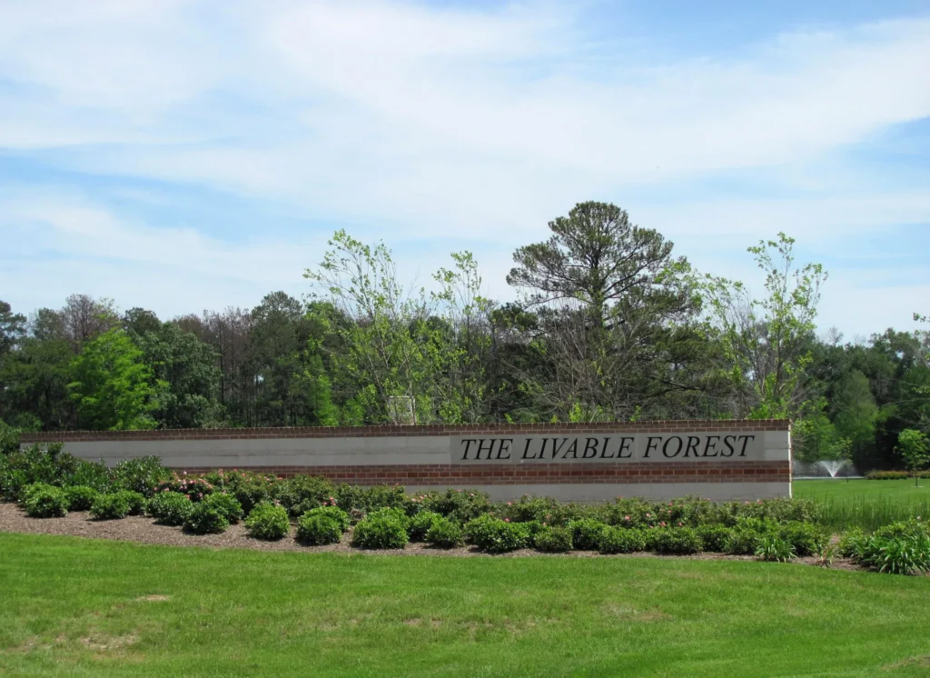 High-Speed Fiber Internet in Kingwood - Tachus Fiber Internet